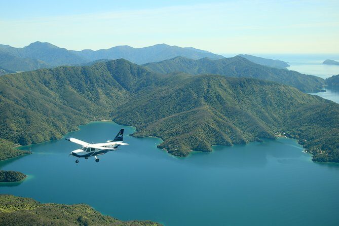 Bays and Bush Flight Scenic Tour - Why the Bays and Bush Flight Scenic Tour Stands Out