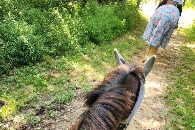 B&C horseback riding in nature and Keeneland racetrack. - Final Thoughts: Is It Worth It?