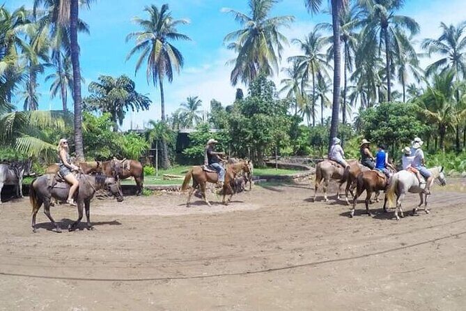 Beach Activities and All Inclusive Tour - Introduction