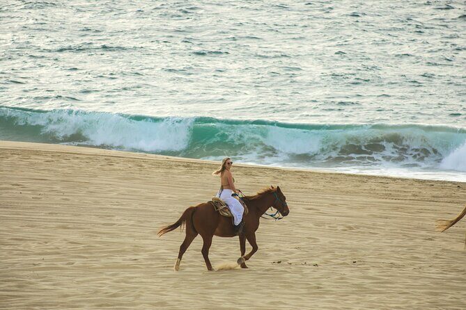 Beach Adventure Off Road ATV Ride y Horseback Experience - The Experience from a Travelers Perspective
