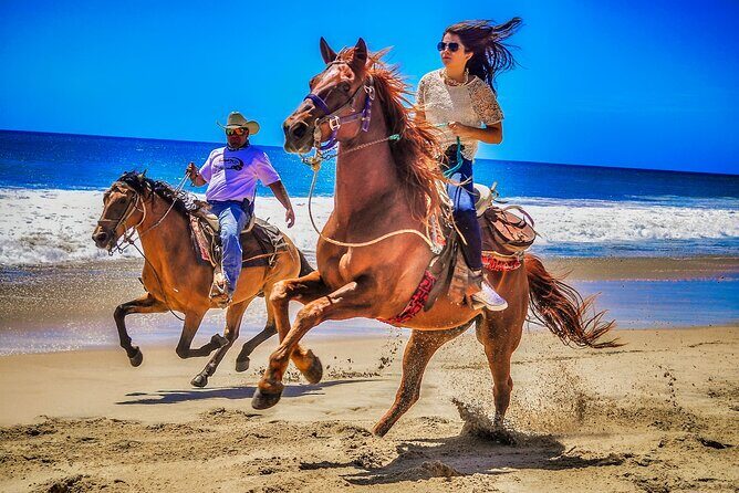 Beach and Desert UTV with Horseback Riding Experience - An Introduction to the Experience