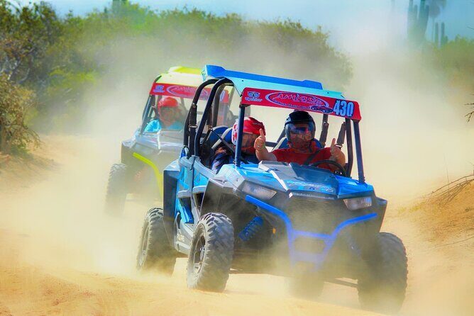 Beach and Desert UTV with Horseback Riding Experience - Authentic Insights from Reviewers