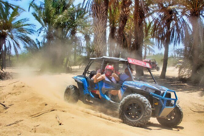 Beach and Desert UTV with Horseback Riding Experience - Who Should Consider This Tour?