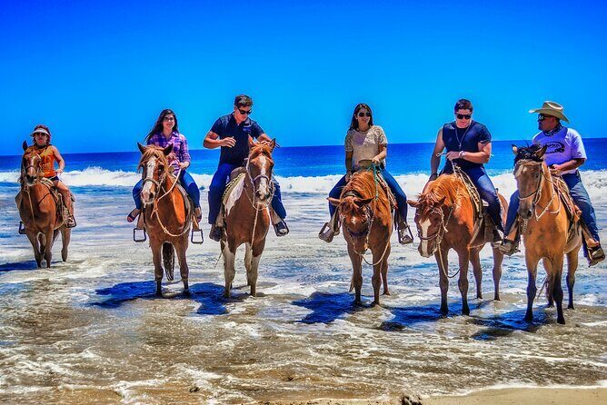 Beach and Desert UTV with Horseback Riding Experience - The Sum Up: Is It Worth It?