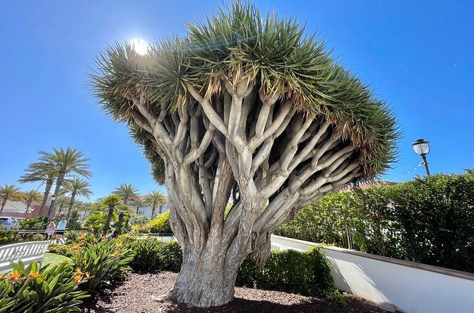 Beach and shopping Tour in San Diego (Private) - Final Thoughts