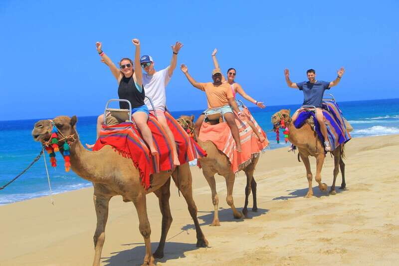 Beach ATV & Camel Ride COMBO in Cabo by Cactus Tours Park - The Itinerary Breakdown