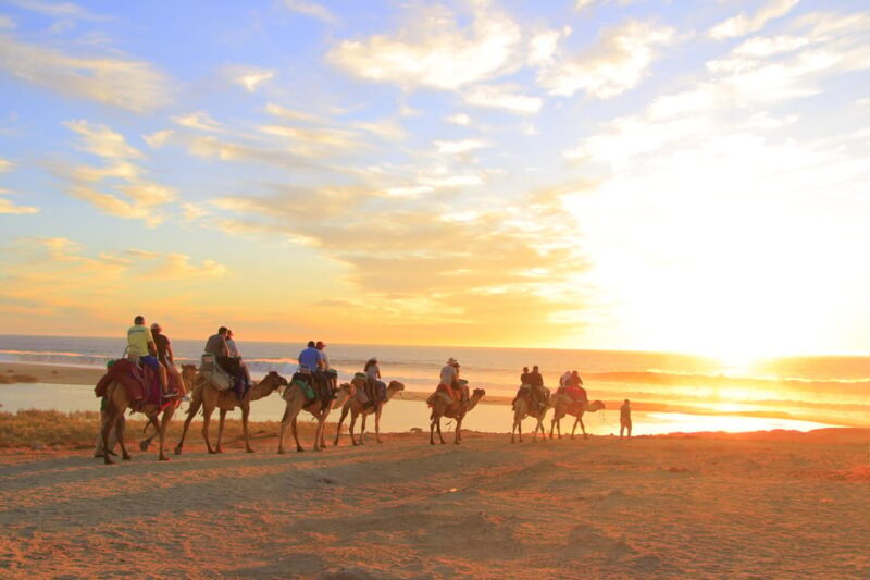Beach ATV & Camel Ride COMBO in Cabo by Cactus Tours Park - FAQ