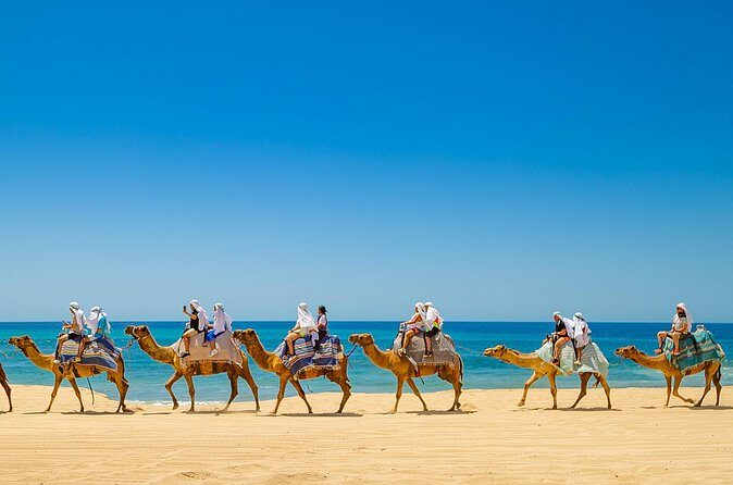 Beach ATV y Camel Ride y Sky Bike Adventure - Who Might Want to Skip It?