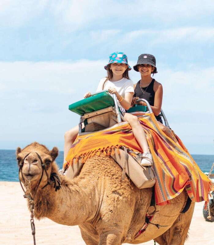 Beach Camel Ride & Encounter in Cabo by Cactus tours park - A Detailed Look at the Beach Camel Ride & Encounter in Cabo