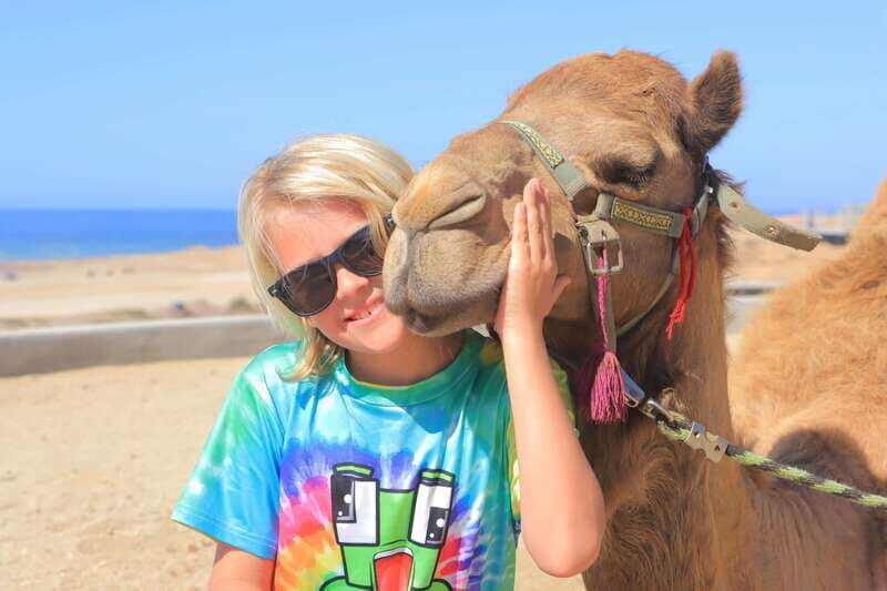 Beach Camel Ride & Encounter in Cabo by Cactus tours park - Final Thoughts
