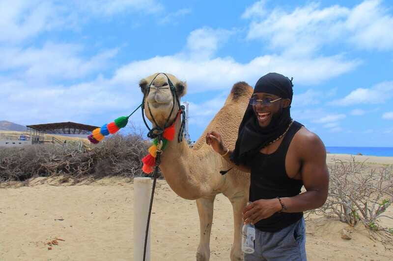 Beach Camel Ride & Encounter in Cabo by Cactus tours park - FAQs