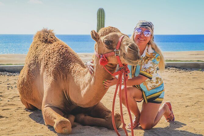 Beach Camel Ride & Encounter in Cabo - Who Should Consider This Tour?