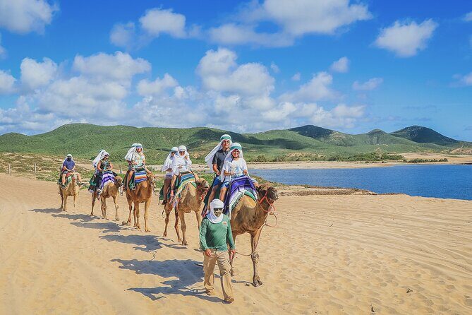 Beach Camel Ride & Encounter in Cabo - FAQs