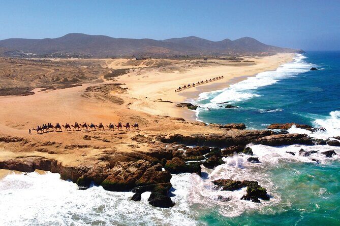 Beach CAN-AM SXS X3 & Camel Ride in Cabo by Cactus Tours Park - Who Should Consider This Tour?