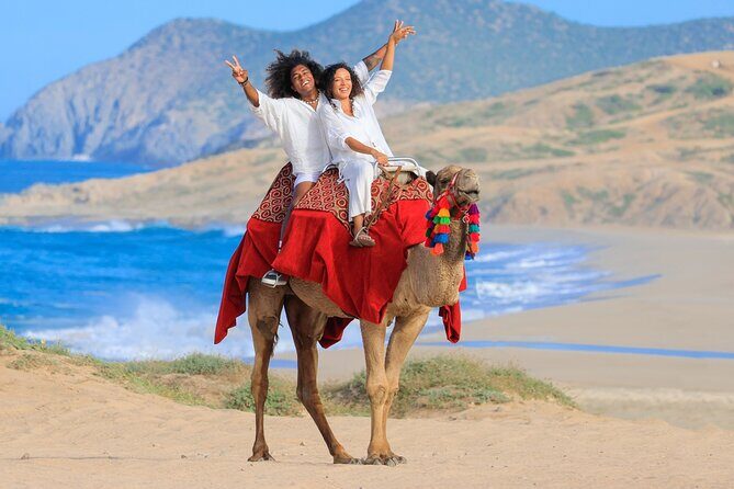 Beach CAN-AM SXS X3 & Camel Ride in Cabo by Cactus Tours Park - Final Thoughts