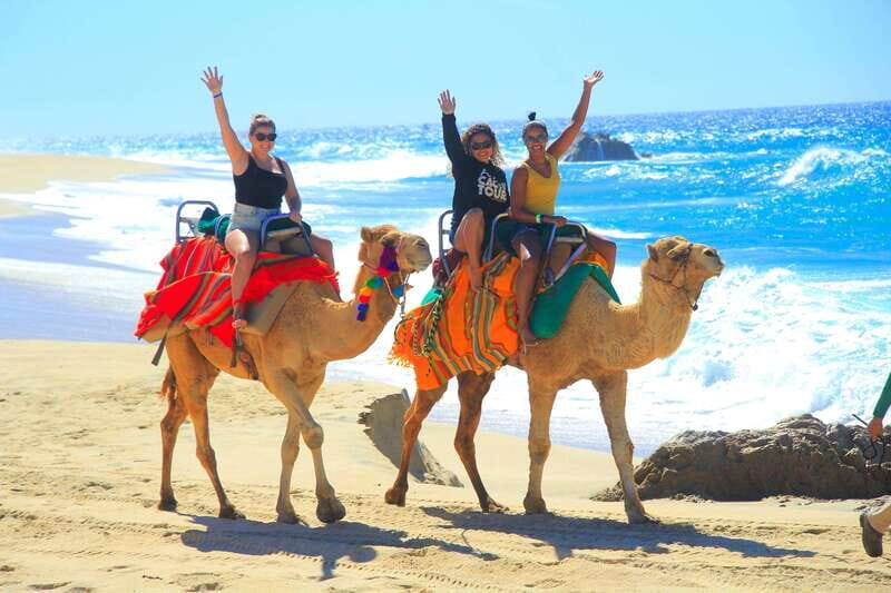Beach CAN-AM SXS X3 & Camel Ride in Cabo by Cactus Tours - The Sum Up