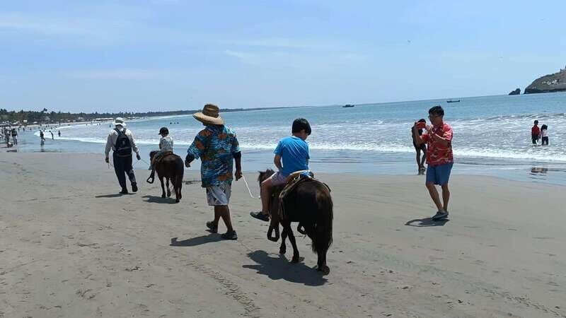 Beach Club All Inclusive: Horse Ride Water Sports Food Drink - The Sum Up