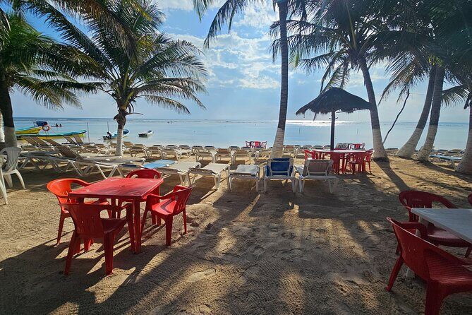 Beach club restaurant kraken - Key Points