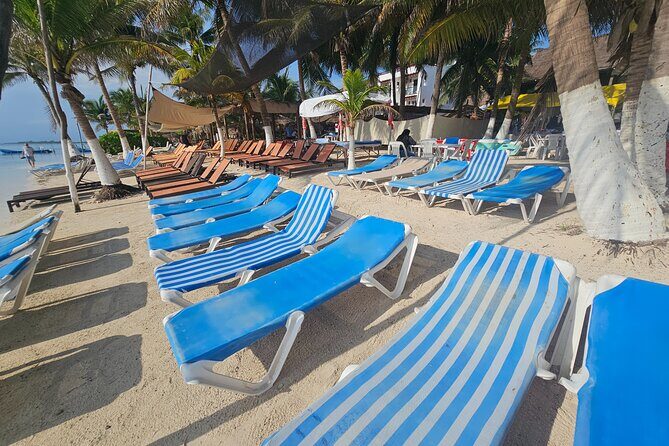 Beach club restaurant kraken - The Experience: What to Expect at Kraken Beach Club