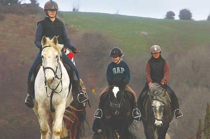 Beach & countryside horse riding outside Westport. Guided. 1 hour - Key Points: