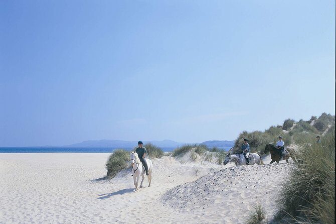 Beach & countryside horse riding outside Westport. Guided. 1 hour - The Itinerary in Detail