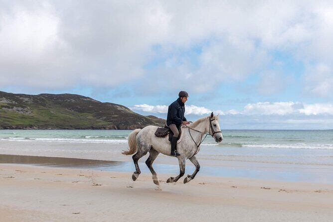Beach & countryside horse riding outside Westport. Guided. 1 hour - Frequently Asked Questions (FAQs)