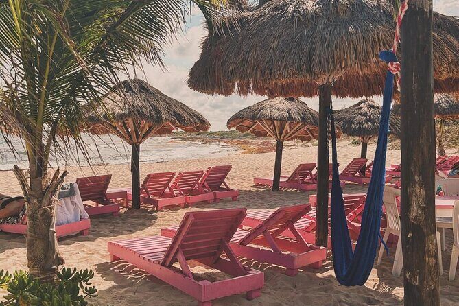 Beach day in Cozumel with roundtrip transportation - A Detailed Look at the Cozumel Beach Day Tour