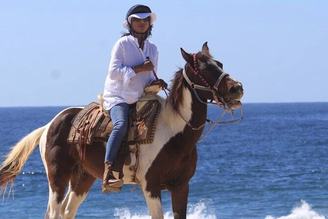 Beach & Desert Horseback Tour - Experience the Serenity of the Beach & Desert Horseback Tour in Cabo San Lucas