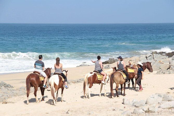 Beach & Desert Horseback Tour - Key Points