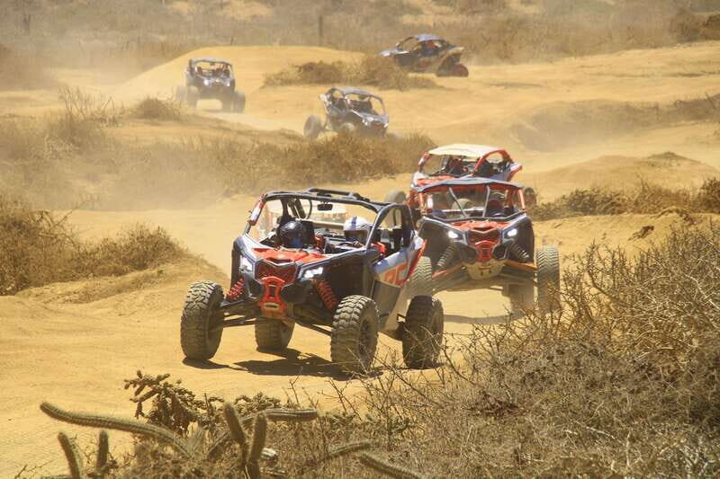 Beach & Desert Premium RC UTV Tour in Cabo price per person - Key Points