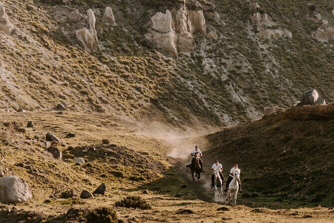 Beach Gallop - Horse Riding Safari for Experienced Riders - The Experience: An In-Depth Look