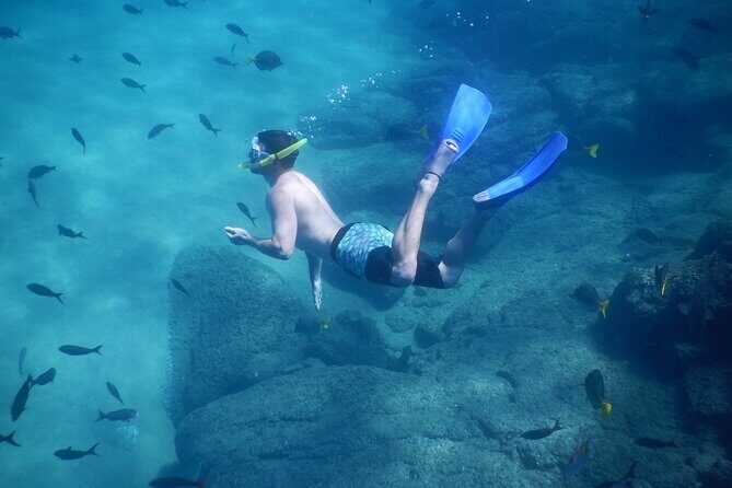 Beach Hopper, Amazing Snorkel Experience At Los Cabos! - What Does the Tour Offer in Terms of Value?