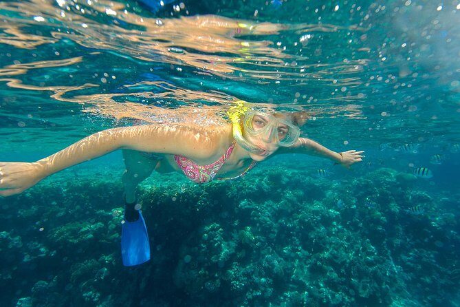 Beach Hopper Small-Group Snorkeling Tour in Los Cabos - Itinerary Breakdown