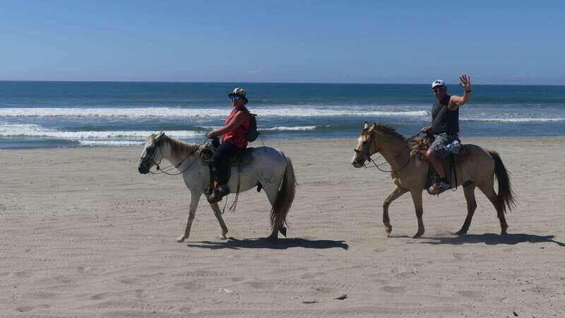 .Beach Horse Riding Turtle Release Crocodile Farm Experience - The Value Proposition