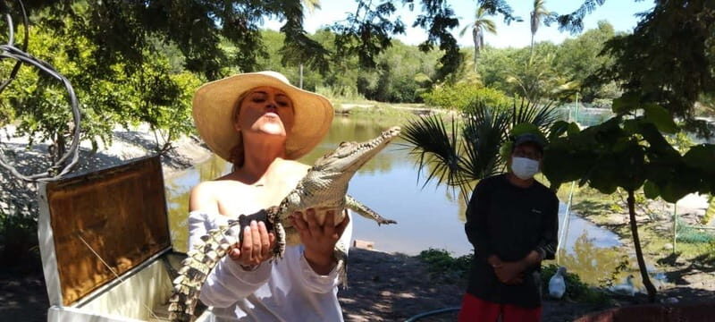 .Beach Horse Riding Turtle Release Crocodile Farm Experience - Who This Tour Is Perfect For