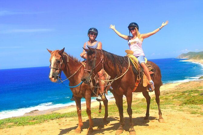 Beach Horseback Riding in Los Cabos - An In-Depth Look at the Beach Horseback Riding Experience