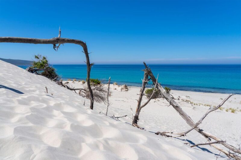 Beach Tour Porto Pino & Piscinnì from Cagliari - Who is This Tour Best For?