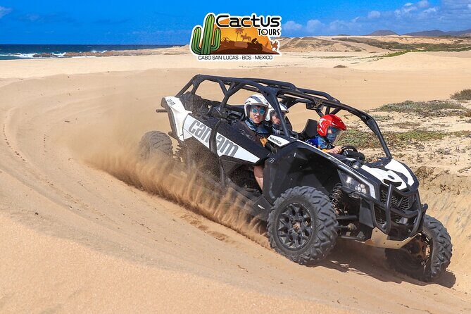 Beach UTV Adventure with Free Camel & Horseback Ride - What Makes This Tour Stand Out?
