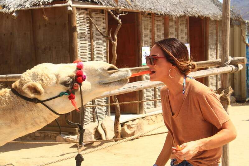 Beach UTV & Camel Ride COMBO in Cabo by Cactus Tours Park - Authentic Tips from Past Travelers