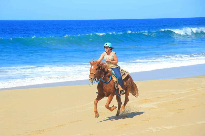 Beach UTV & Horseback Riding COMBO in Cabo by Cactus Tours - Key Points