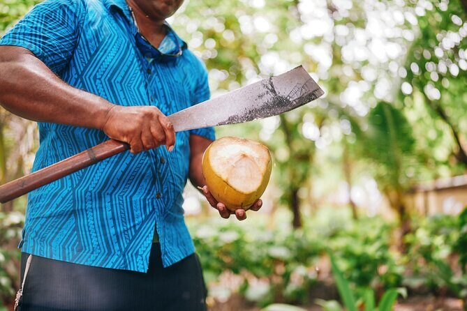 Beachcomber Island Day Trip Fiji's Authentic Island Experience - An Overview of the Experience