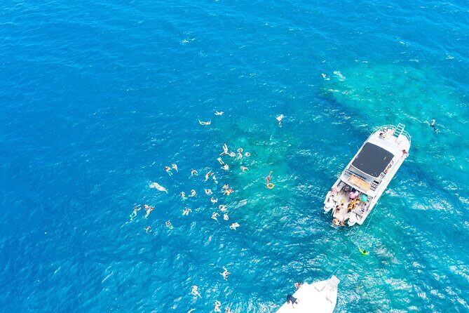 Beachcomber Island Escape - A Perfect Day in Paradise - The Pros and Cons