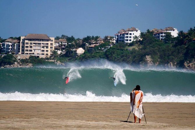 Beaches Dolphins And Viewpoints Discovering The Hidden Port By Sea And Land - The Sum Up