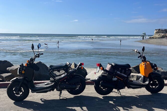 Beachside Moped Rentals - Value for Money and Overall Impression