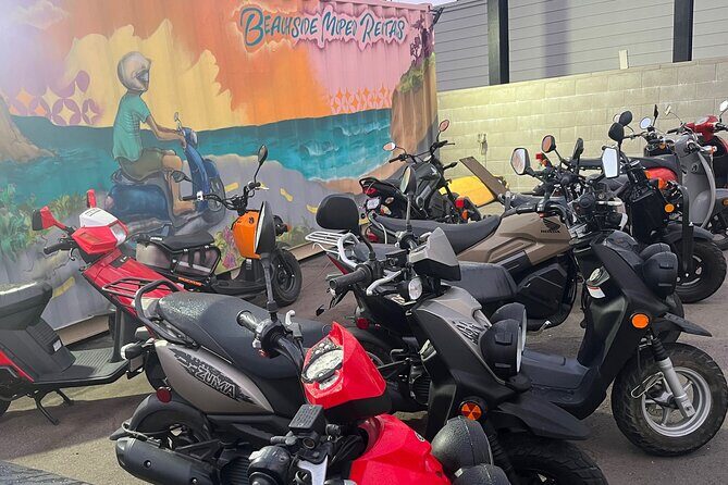 Beachside Moped Rentals - Who Is This Tour Best For?