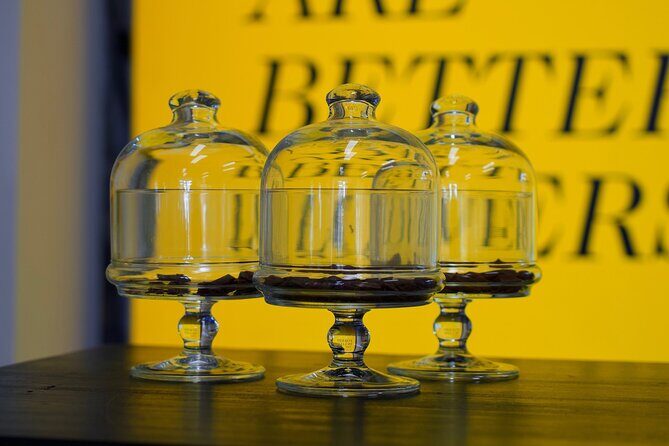 Bean to Bar Chocolate Mini Tasting in Bonn - What to Expect from the Chocolate Tasting in Bonn