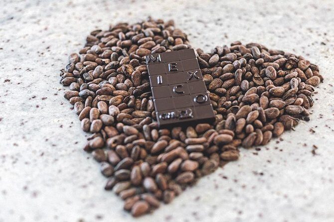 Bean to Bar Chocolate Workshop in Puerto Vallarta - Who Should Book This Tour?