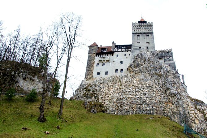 Bear Sanctuary and Bran Castle from Brasov - Transportation and Guide Experience