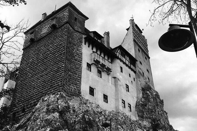 Bear Sanctuary and Bran Castle from Brasov - Pricing and Value