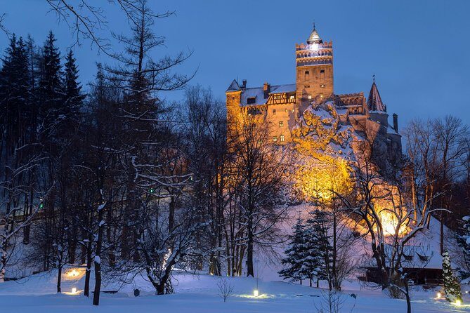 Bear Sanctuary and Bran Castle with a Professional Licensed GuideDay Trip - A Complete Breakdown of the Tour Experience